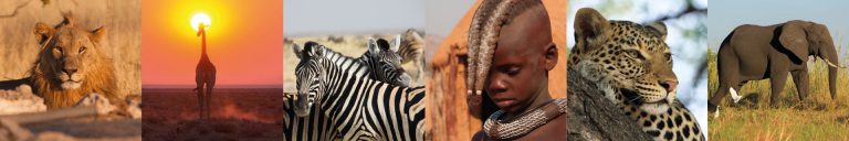 Self-Drive Holidays Namibia | Tailor-made | Private Guided Safaris