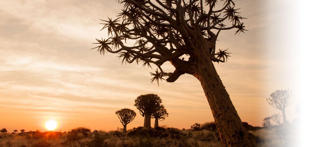 How much does it cost to travel in Namibia? 4WD self drive safari ...