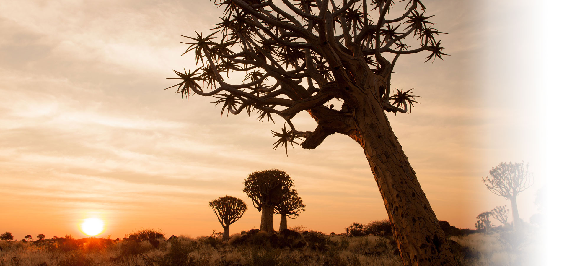 How much does it cost to travel in Namibia? 4WD self drive safari ...