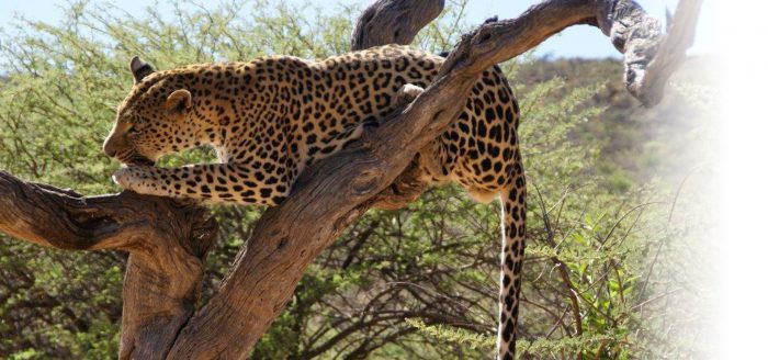 About Namibia | What you need to know about Namibia.