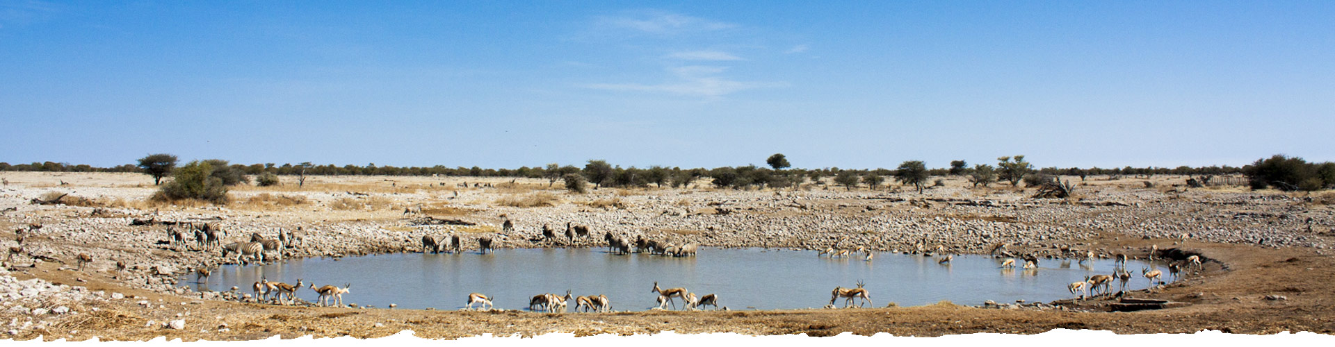 About Namibia | What you need to know about Namibia.