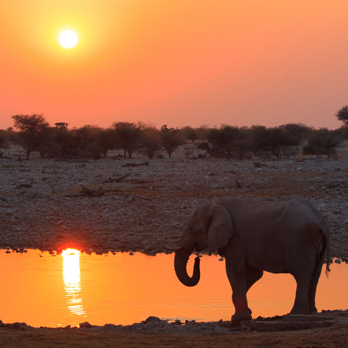 Self drive road trip through Namibia | Route Highlights. Discover all ...