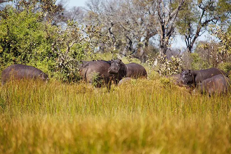 About Namibia | What you need to know about Namibia.